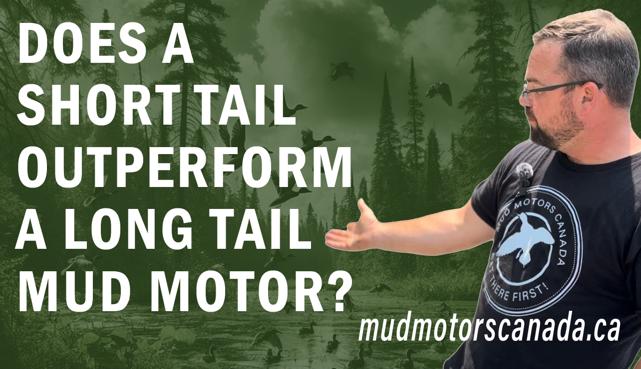 Debunking the Myths: Performance Comparison of Short Tail vs. Long Tail ...